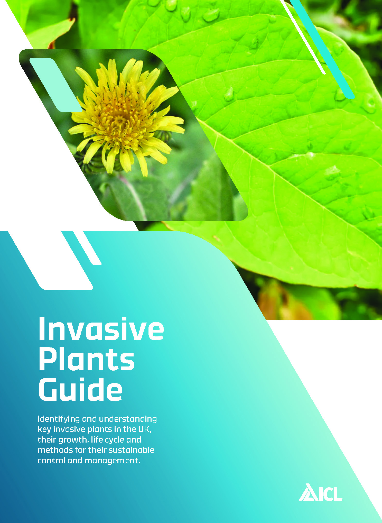 ICL publishes free comprehensive Invasive Plants Guide - Landscaping ... ICL publishes free comprehensive Invasive Plants Guide - Landscaping ...