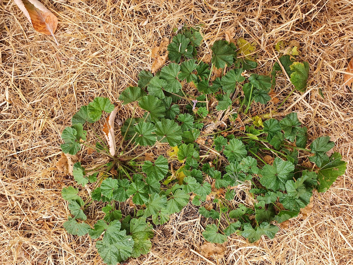 Rain may be coming in some areas and these top tips will ensure your ...