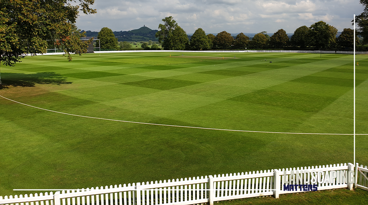 Millfield gets the MM treatment - Landscaping Matters