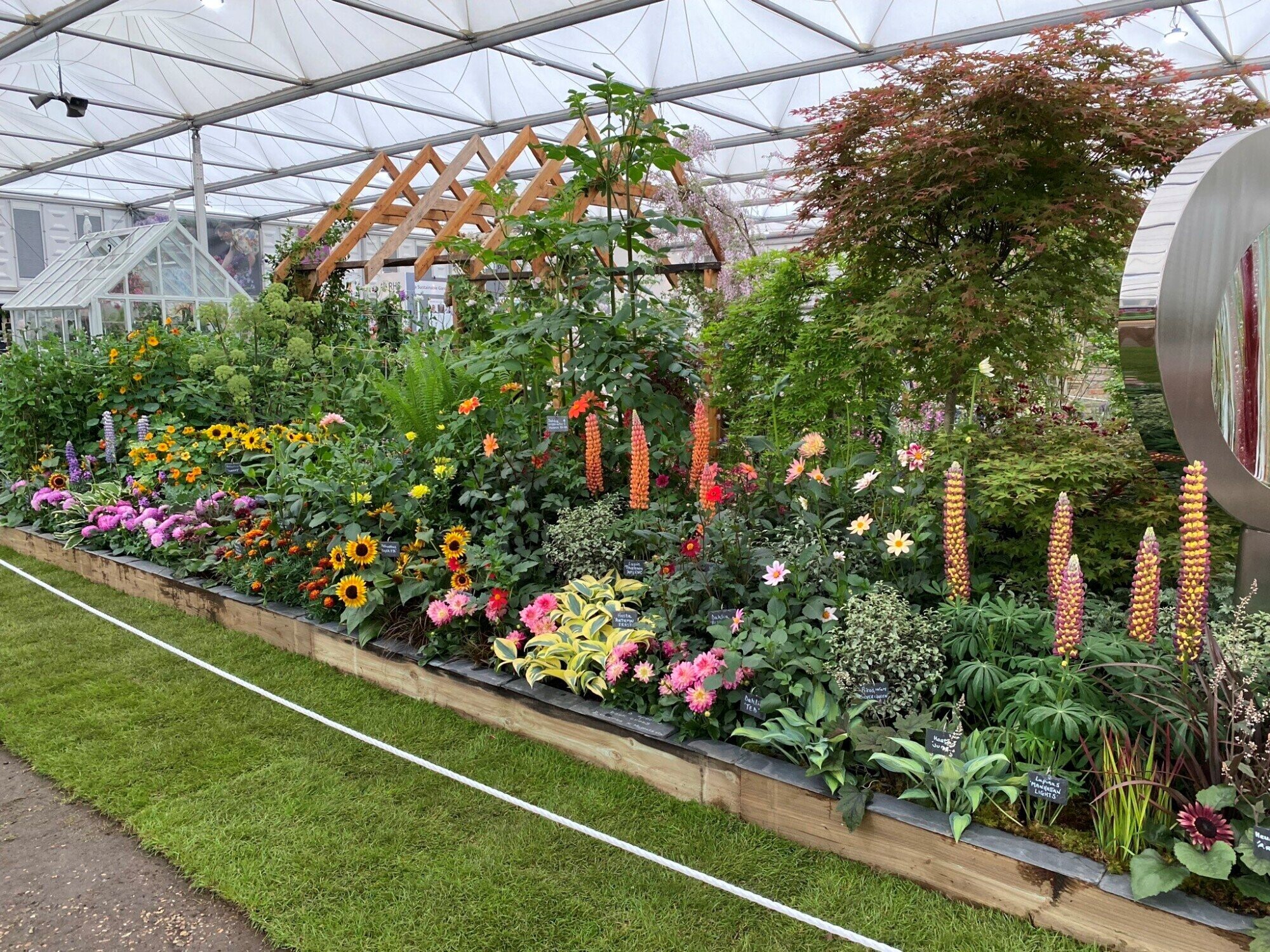 Burpee Europe wins GOLD at the Chelsea Flower Show! - Landscaping Matters