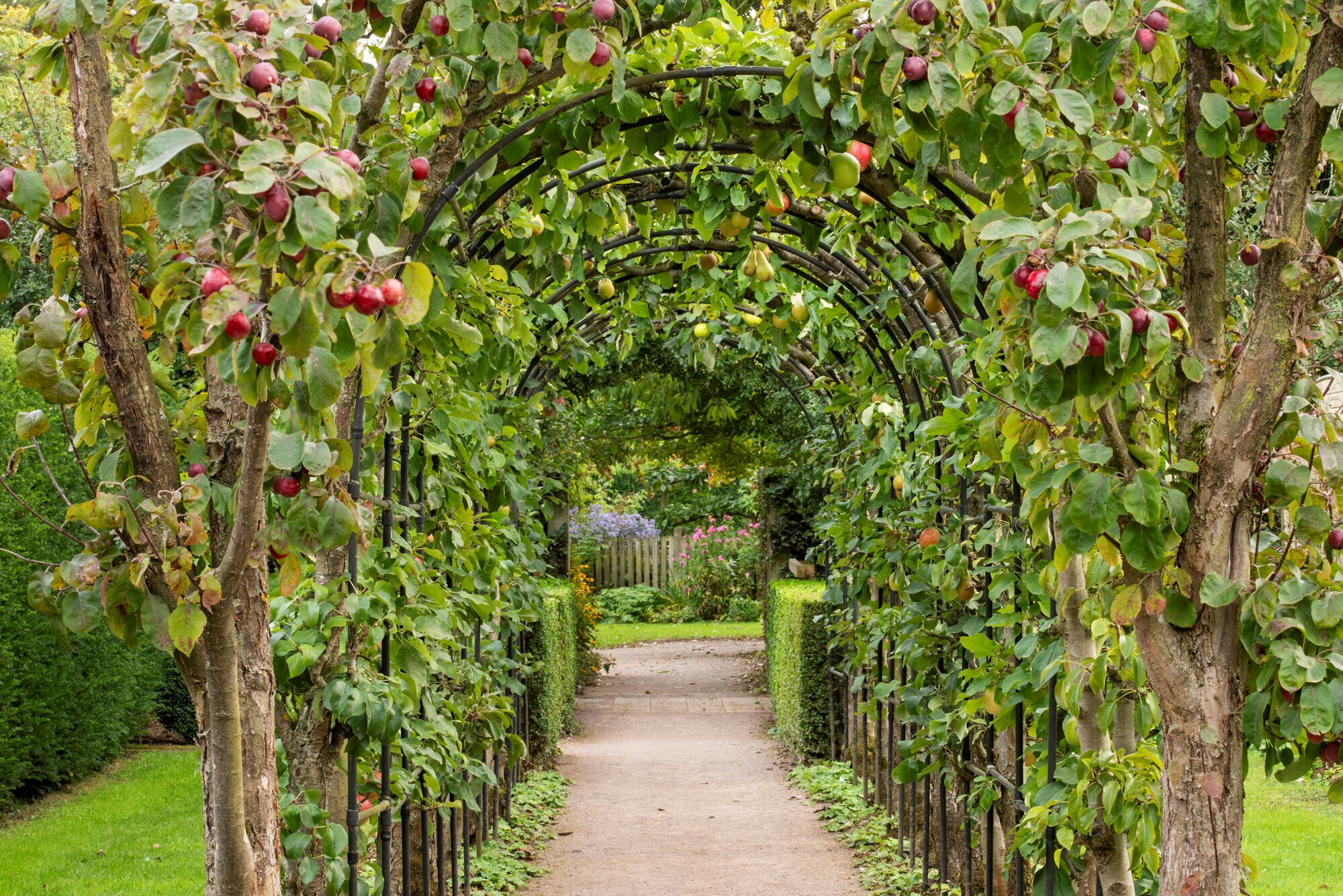 Gardens and plants that WOW now! - Landscaping Matters